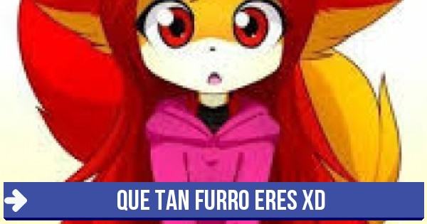 Test: Que tan furro eres xd