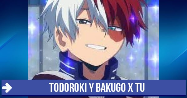 Test: Todoroki y Bakugo x tu