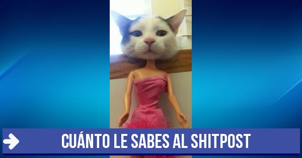 Test: Cuánto le sabes al shitpost