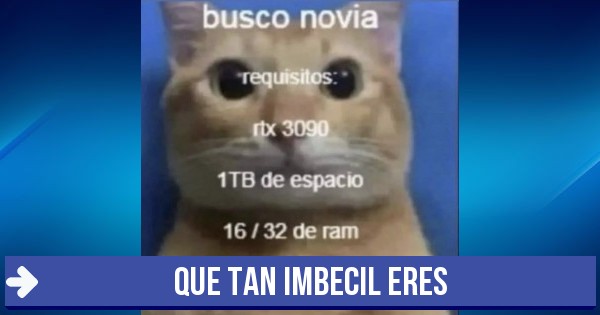 Test: que tan imbecil eres