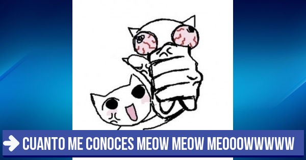 Test: CUANTO ME CONOCES MEOW MEOW MEOOOWWWWW