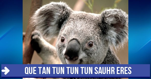 Test: que tan tun tun tun sauhr eres