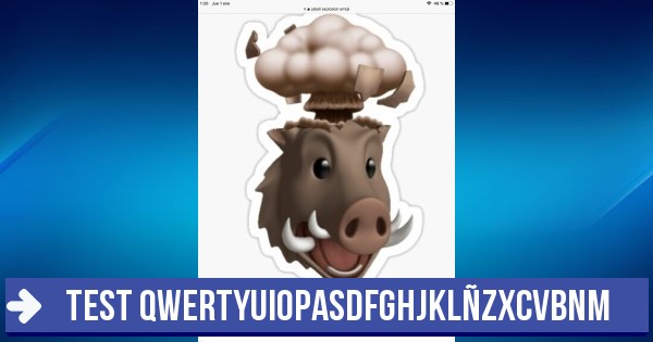 Test: Test qwertyuiopasdfghjklñzxcvbnm