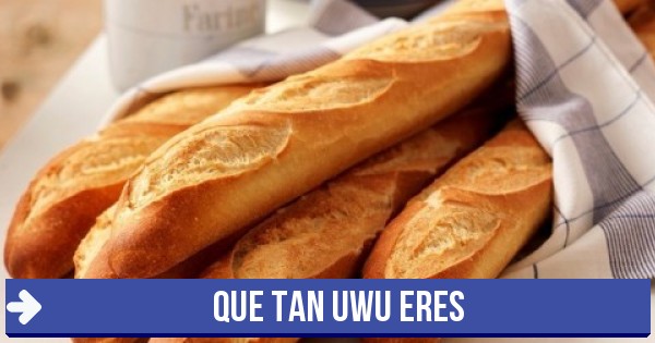 te gusta el pan.. - que tan uwu eres