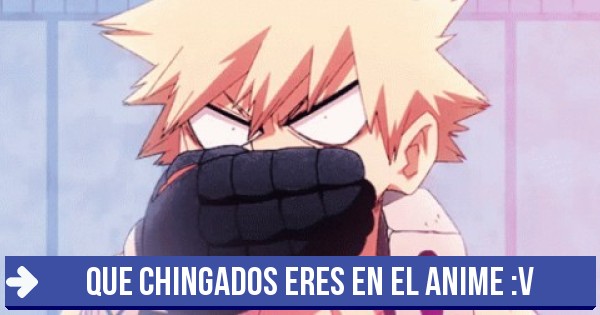 XS - QUE CHINGADOS ERES EN EL ANIME :V