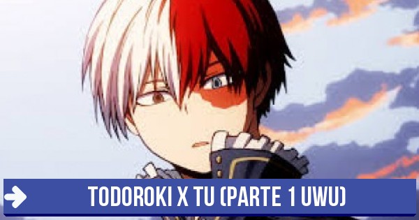 Solo amigos - Todoroki x Tu (Parte 1 uwu)