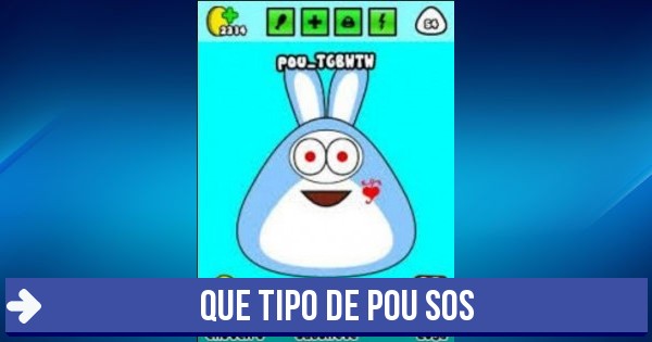 Pou pisico pata - Que tipo de pou SOS