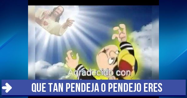 muy pendeja o pendejo - que tan pendeja o pendejo eres