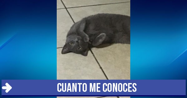 QUE SIGNO SOY - CUANTO ME CONOCES