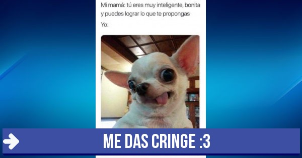 No me das cringe ;( - Me das cringe :3