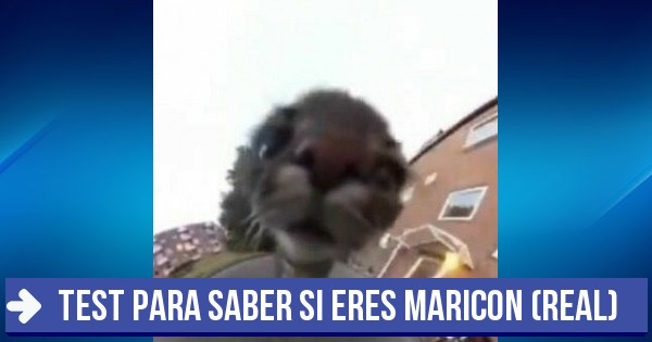 hetero qliado - test para saber si eres maricon (real)