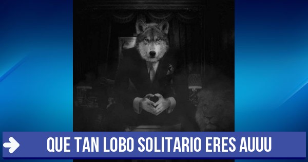 no eres lobo solo furry - que tan lobo solitario eres auuu
