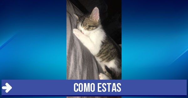 hoy como vas - como estas