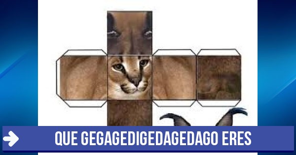 todos los gegagedigedagedago - que gegagedigedagedago eres