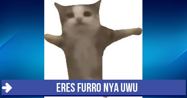 Eres Furry OwO - Eres Furro Nya UwU