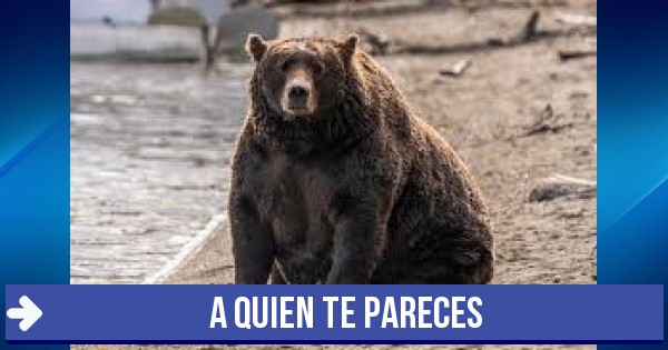 Tori - A quien te pareces