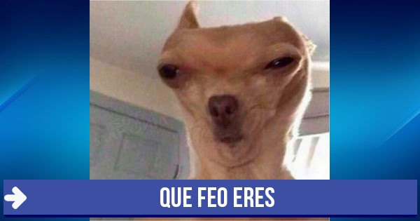 ERES EL MAS FEO DEL MUNDOOOOOOO - QUE FEO ERES