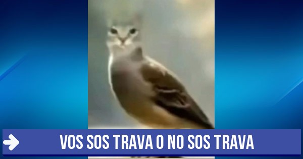 No sos trava - Vos sos trava o no sos trava