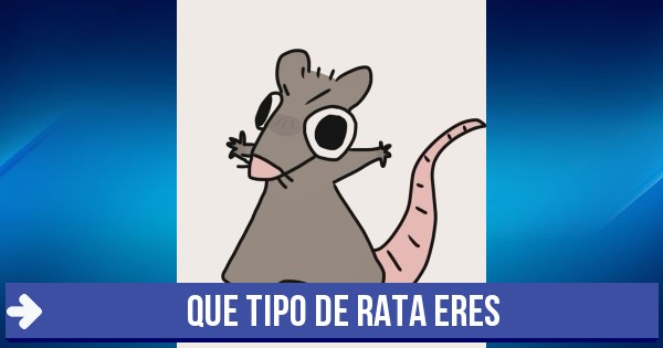 eres ratita normal - que tipo de rata eres