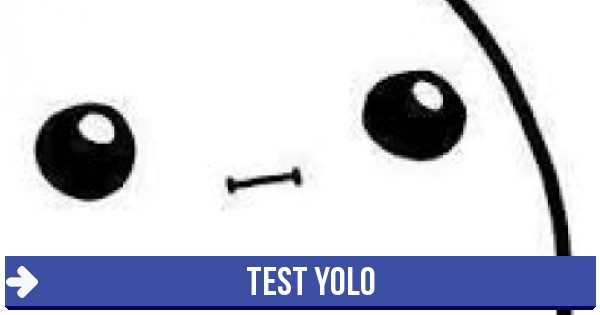 :v - test yolo